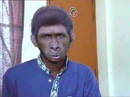 Gorilla Taxi Service to Enter Calgary Market | 2P News